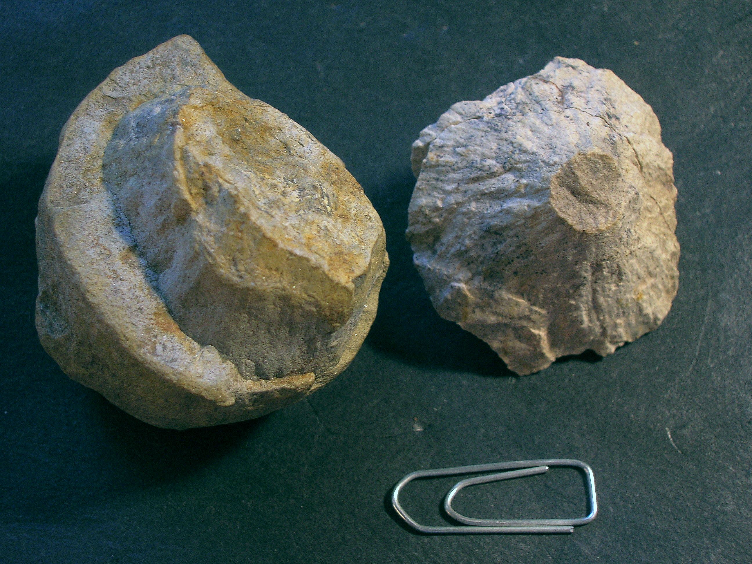 Shatter Cones vom Tüttensee-Krater (Chiemgau-Impakt) - Der Chiemgau-Impakt